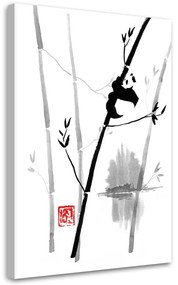 Gario Obraz na plátně Panda na bambusu - Péchane Rozměry: 40 x 60 cm