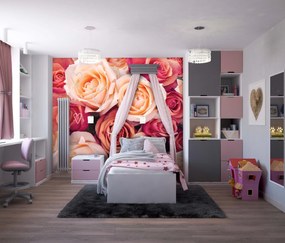 Malvis ® Tapeta Růže Vel. (šířka x výška): 432 x 290 cm