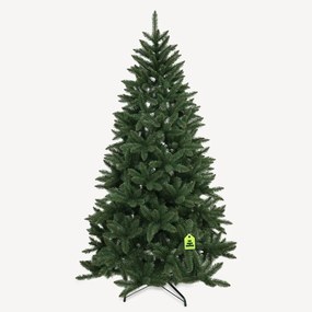 Smrk Kanadský 180 cm