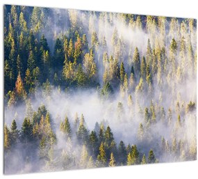 Skleněný obraz stromů v mlze (70x50 cm)