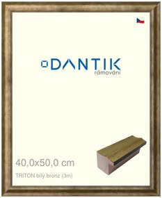 DANTIK rámeček 40x50 | TRITON bílý bronz (Sklo Čiré)