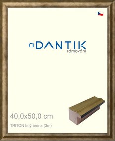 DANTIK rámeček 40x50 | TRITON bílý bronz (Sklo Čiré)