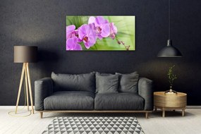 Plexisklo-obraz Vstavač Orchidej Květiny 100x50 cm