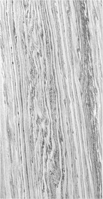 XXXLutz AKUSTICKÝ PANEL velikost: 52/104/0.7 cm Jangal - Online Only tapety - 003485001706