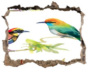 Wallmuralia Díra 3D fototapeta na stěnu Egzotičtí ptáci 95x64 cm
