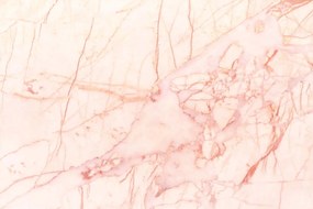 DIMEX | Vliesová fototapeta Růžový mramor MS-5-2478 | 375 x 250 cm | bílá, růžová
