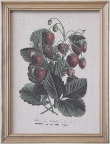 Chic Antique Botanický obraz v rámu Strawberry 43x33cm, červená barva, zelená barva, přírodní barva, dřevo, textil