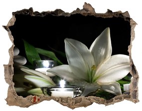 Wallmuralia Samolepící díra nálepka Bílá lilie 95x64 cm