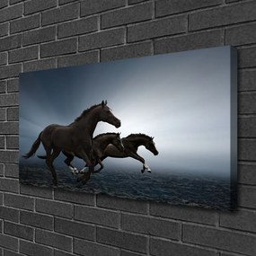 Obraz na plátně Koně Zvířata 100x50 cm