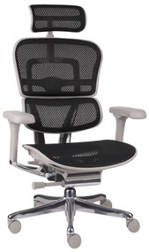 Grospol - Kancelářské křeslo Ergohuman 2 Elite GS Black