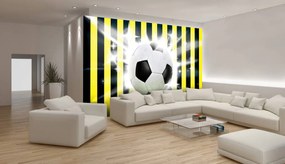 Fototapeta - Fotbal (152,5x104 cm)