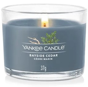 Yankee Candle Votivní svíčka ve skle Bayside Cedar, 37g