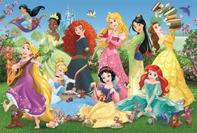 TREFL PUZZLE Disney Okouzlující Princezny 41x28cm 100 dílků skládačka tr16417