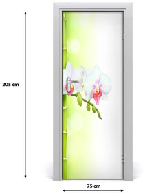 Fototapeta samolepící Orchidej a bambus 75x205 cm