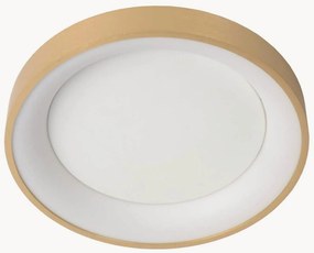 Stmívatelné stropní LED svítidlo Vidal