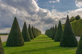 DIMEX | Vliesová fototapeta Zámek Versailles III. MS-5-1173 | 375 x 250 cm| zelená, modrá, bílá, šedá