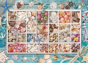 EUROGRAPHICS Puzzle Lauřina sbírka mušlí / 1000 dílků / 68 × 48 cm