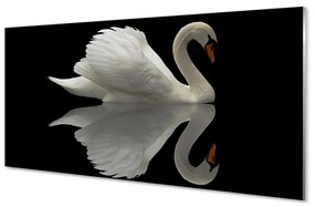 Obraz na skle Swan v noci 140x70 cm