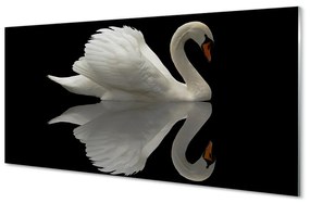 Obraz na skle Swan v noci 120x60 cm