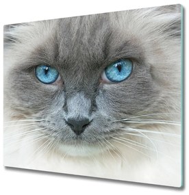 Skleněná krájecí deska Kočka s modrými očima 60x52 cm