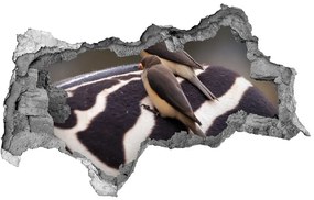 Wallmuralia Díra 3D fototapeta nálepka Ptáci a zebra 95x73 cm