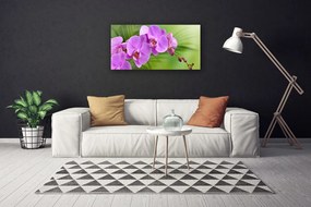 Obraz na plátně Vstavač Orchidej Květiny 125x50 cm