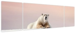 Obraz - Lední medvěd (170x50 cm)