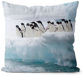 IMPAR Polštář Skupina tučňáků 40x40 cm (Velikost: 40 x 40 cm)