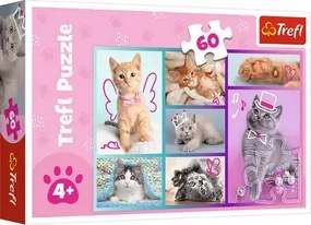 Trefl - Puzzle - Roztomilé kočky / 60 dílků / 33 x 22 cm / věk 4+