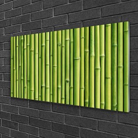Obraz na skle Bambus Rostlina Příroda 120x60 cm