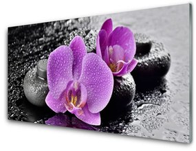 Obraz na skle Orchidej Květiny Kameny Zen 120x60 cm