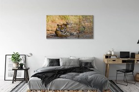 akrylový obraz Tigers 125x50 cm