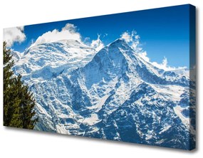 Obraz na plátně Hora Strom Krajina 140x70 cm