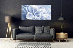 Plexisklo-obraz Květiny Plátky Příroda 120x60 cm