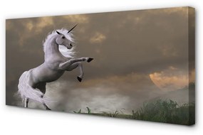 Obrazy na plátně Unicorn top 100x50 cm