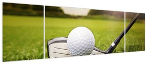 Obraz - Golf (170x50 cm)