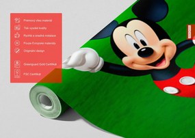 Dětská vliesová fototapeta na zed' Mickey Mouse Nahoru, Disney | 90 x 202 cm | DFTDNV 5480