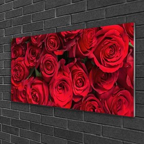 Obraz na skle Červené Růže Květiny Příroda 140x70 cm