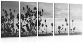 5-dílný obraz stébla trávy na poli v černobílém provedení