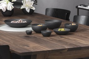 Villeroy&Boch Villeroy & Boch Manufacture Rock sada misek na dip s podnosem