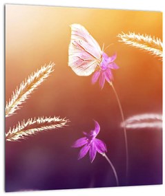Obraz - Růžový motýl (30x30 cm)