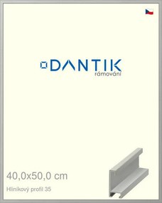 DANTIK rámeček 40x50 | ALU profil 6035 Dýha barevná šedá (Sklo Čiré)