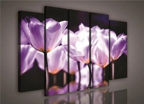 Obraz na plátně fialové květy 150 x 100 cm