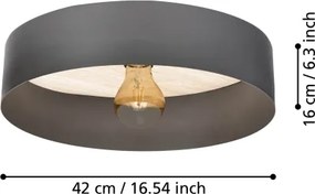 Eglo 901745 - Stropní svítidlo DUAIA 1xE27/40W/230V šedá