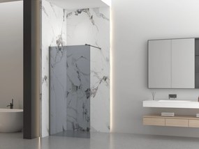 Erga Paris, sprchová zástěna Walk-In 30x200 cm, 8mm šedé sklo, grafitový profil, ERG-V02-PARIS-030x200-GR-GG