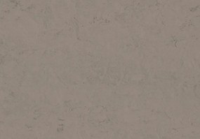 FORBO MARMOLEUM HOME TL. 2.5 MM - H79 ŠÍŘKA: 2 m