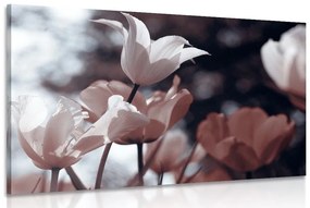 Obraz jarní tulipány v parku - 60x40 cm