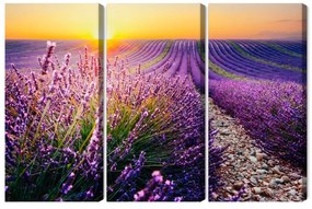 Vícedílný obraz Levandulové Pole Při Západu Slunce 3D Nedostatek Nedostatek Plátno Canvas 180x120