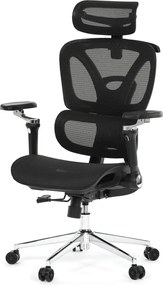 Ergonomická kancelářská židle FORCE - černá síťovina