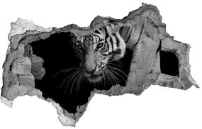 Wallmuralia Díra 3D foto tapeta nálepka Tygr 95x73 cm